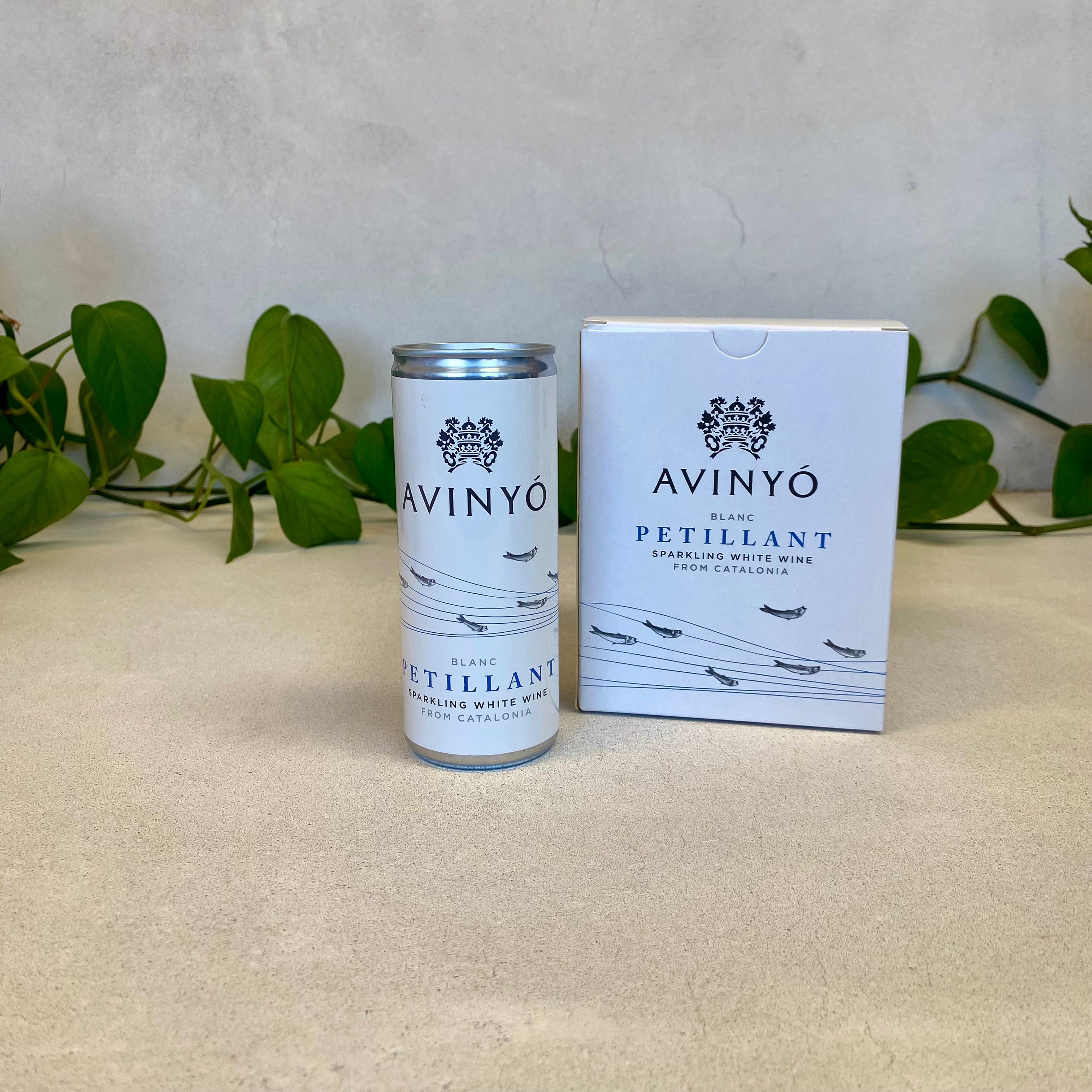 Avinyó - Petillant Blanc - Catalonia - CANS (4pack) – Clarity Wine